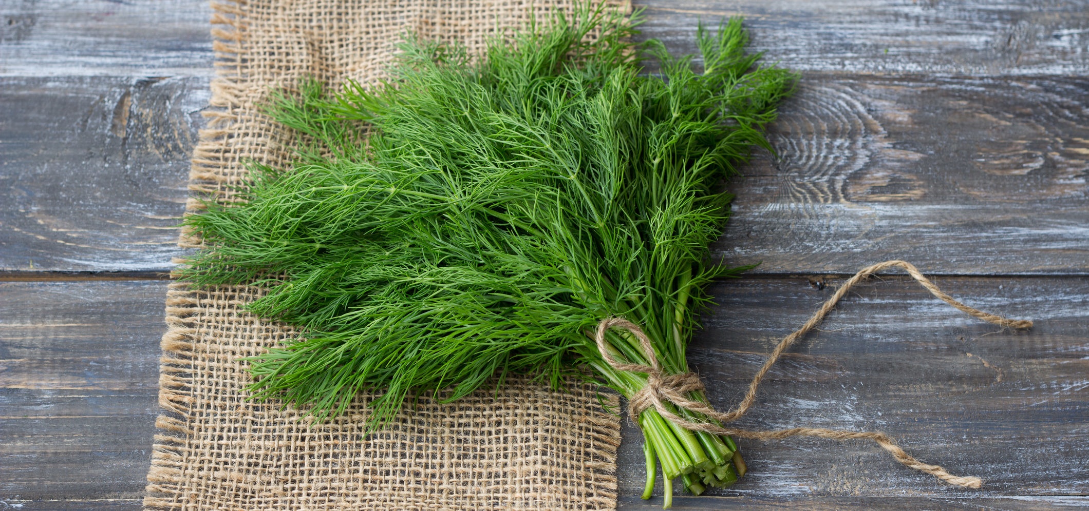 Funcho: propriedades de um alimento aromático da cultura mediterrânica