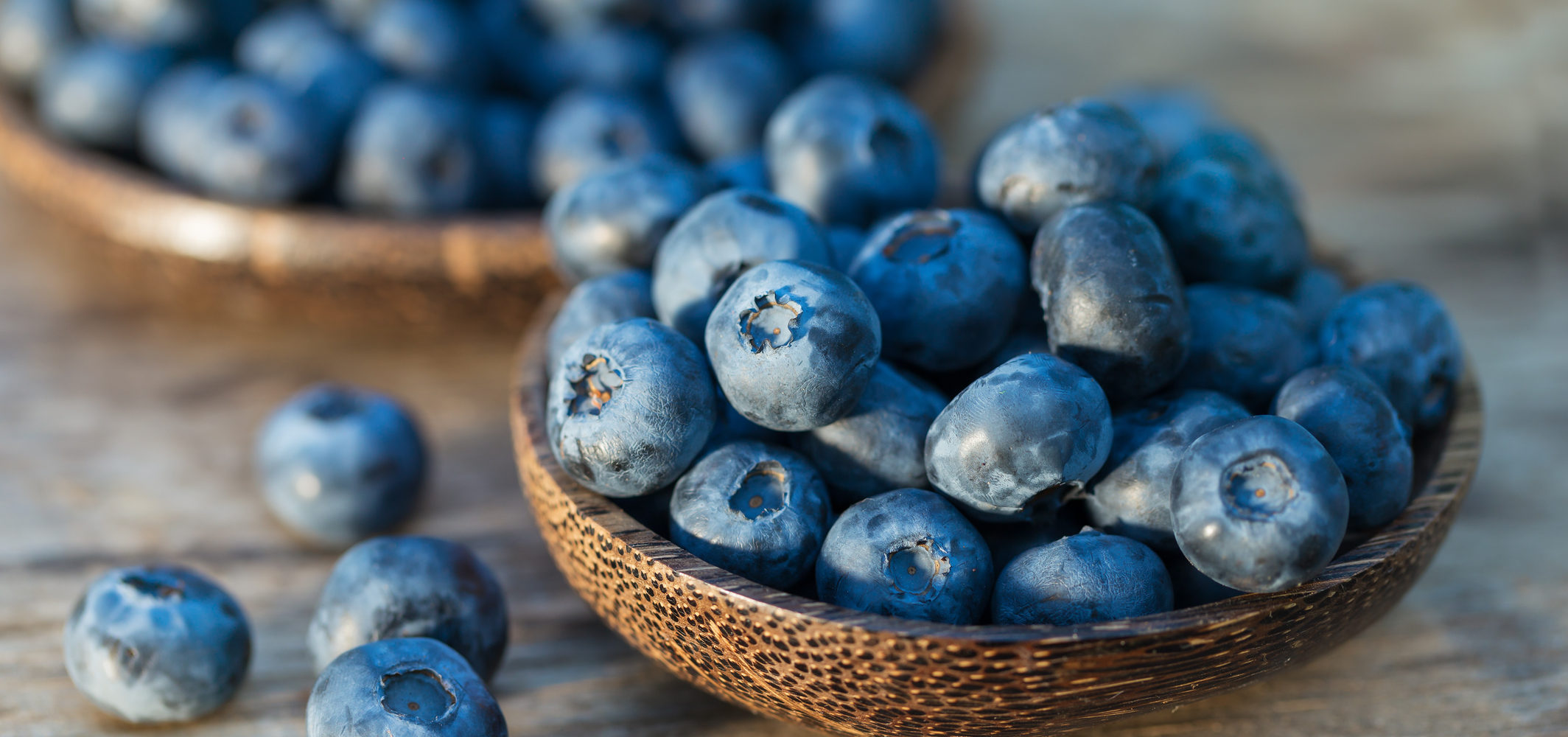 Mirtilos: uma baga cheia de nutrientes