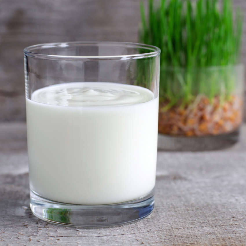 Iogurte de kefir vs Iogurte: quais as diferenças?