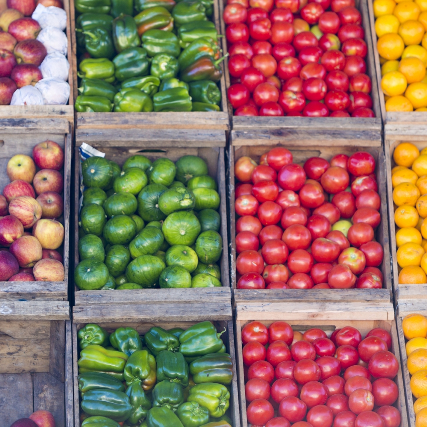 Onde comprar produtos biológicos para revenda