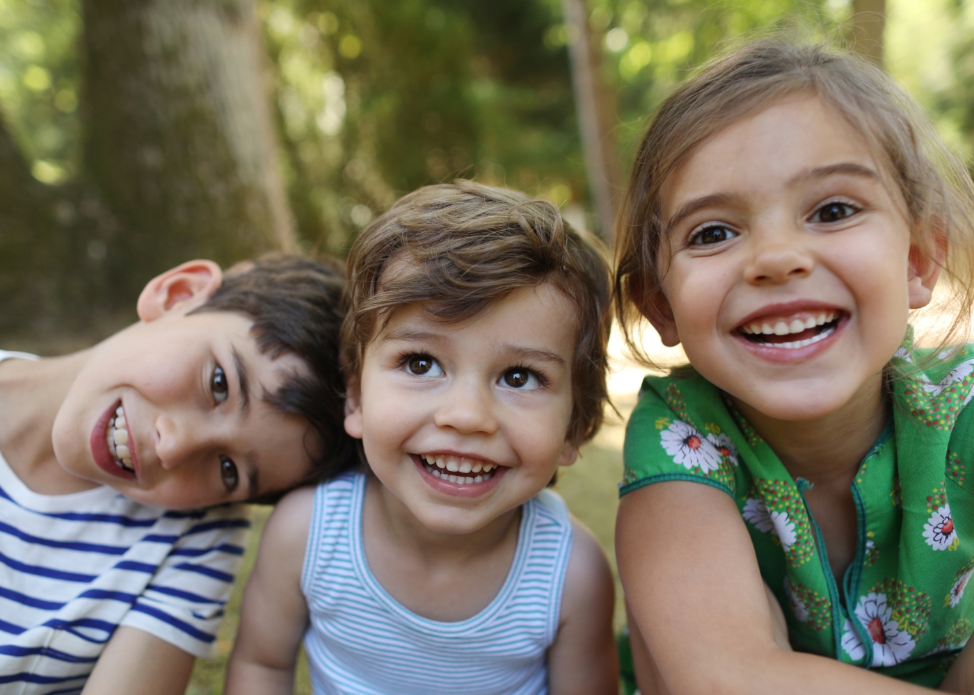 Loja online de Panda e os Caricas promete fazer muitas crianças felizes
